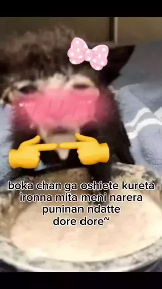 bokachan & boka chan ga oshiete kureta ironna mita ...| Kwai