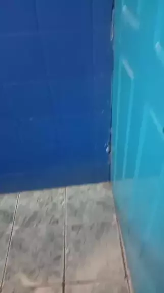 gdp e359 video & gdp e359| Discover