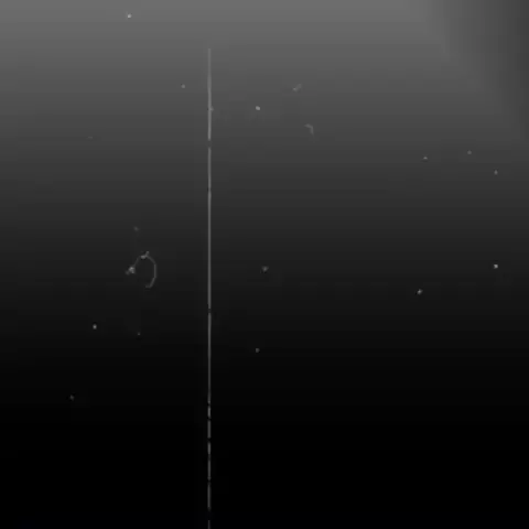 muffin bluey rule 34 & bluey bandit r34| Discover